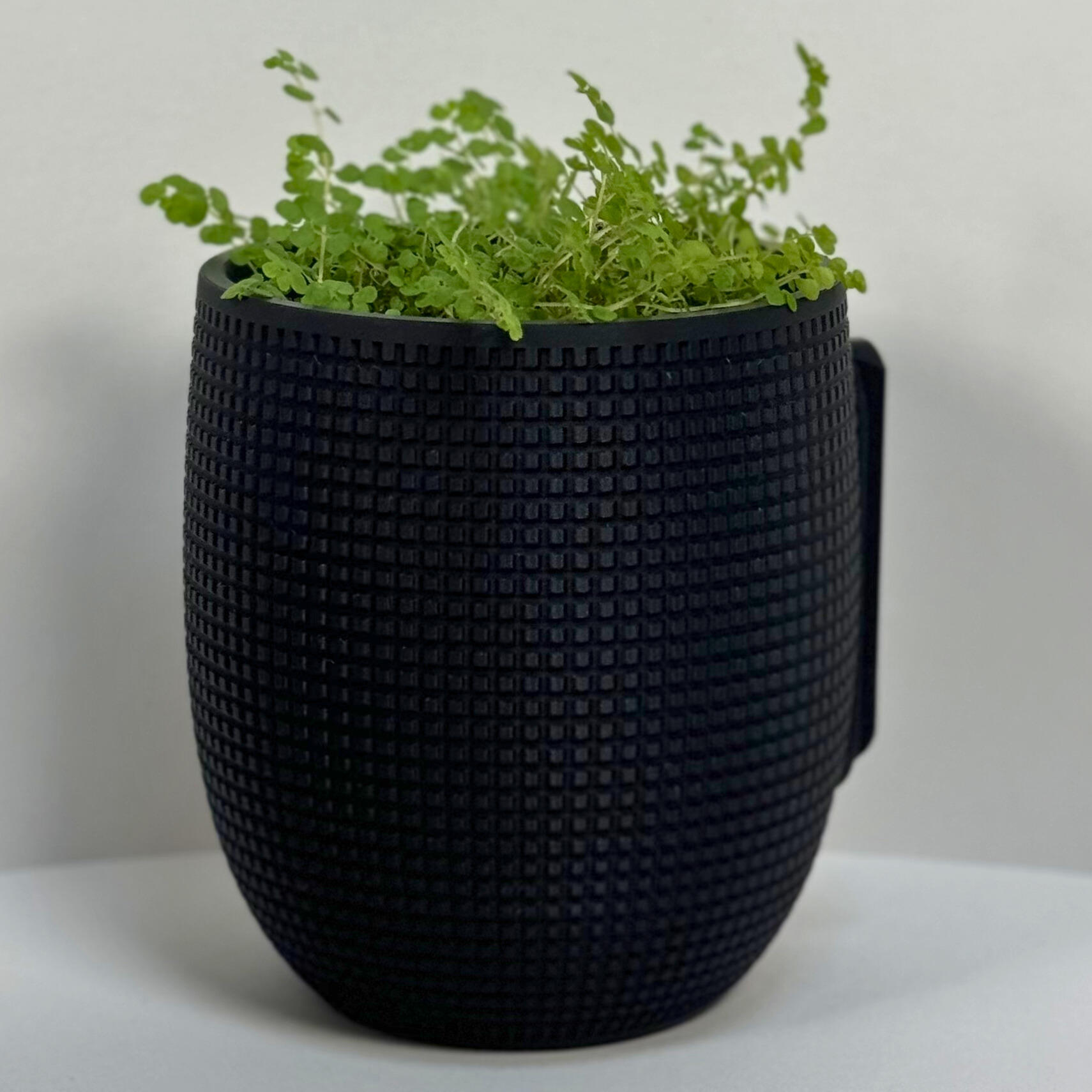 Thanda Wall Planter - Medium | Epic Design Studio